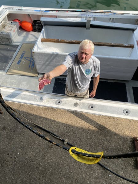 Intricacies of Tuna Fish Grading | Different Grades of Tuna Meat – Luke ...